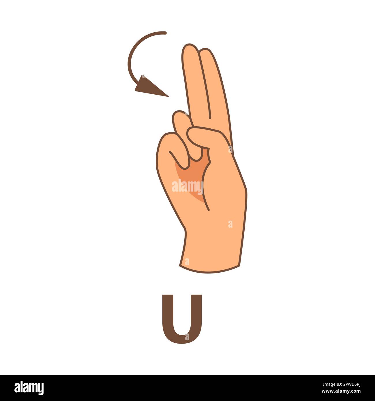 Hand zeigt den Buchstaben U, Zeichensprache Alphabetvektordarstellung ...