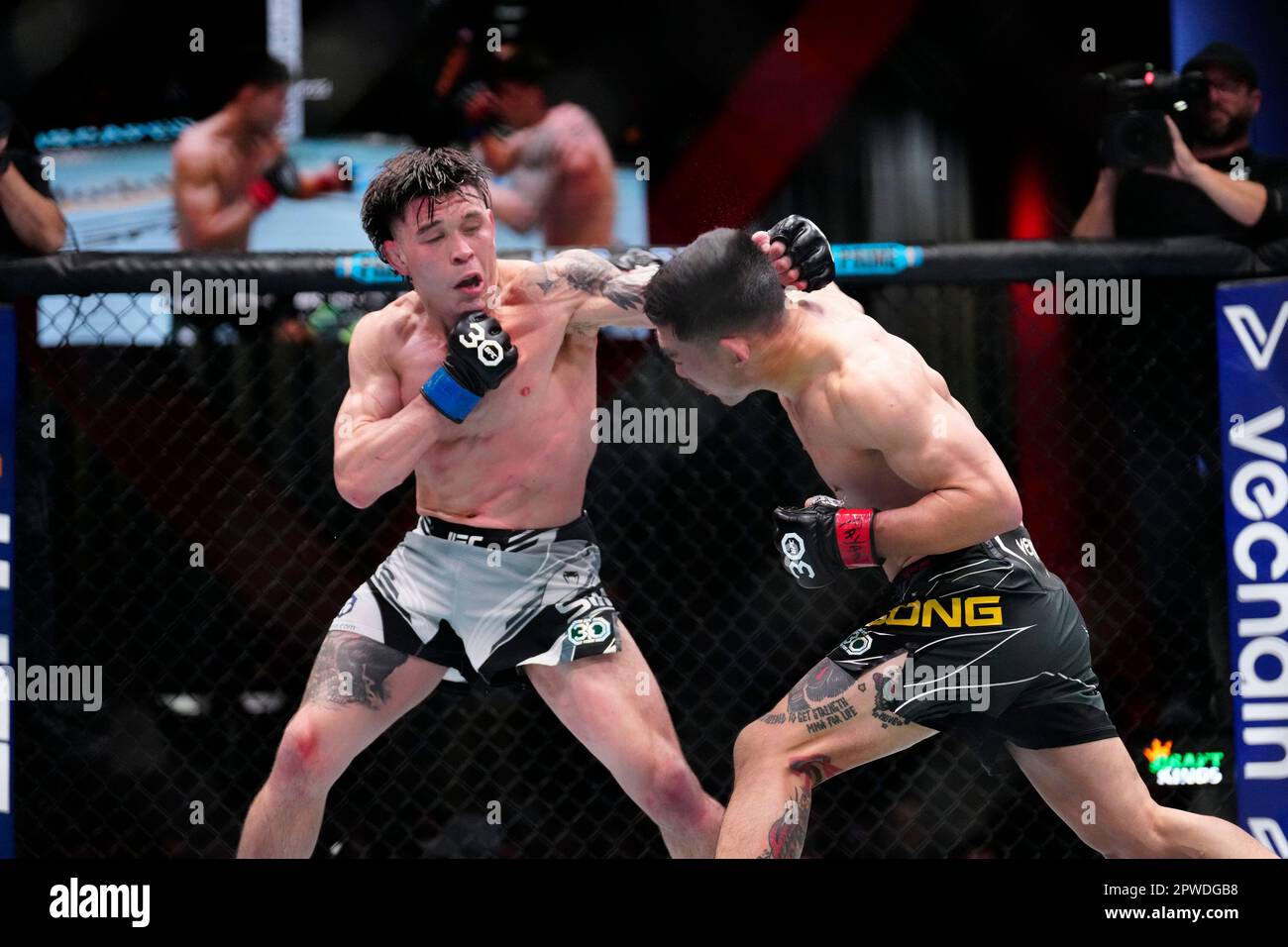 LAS VEGAS, NV - 29. April: Song Yadong und Ricky Simon kämpfen am UFC ...