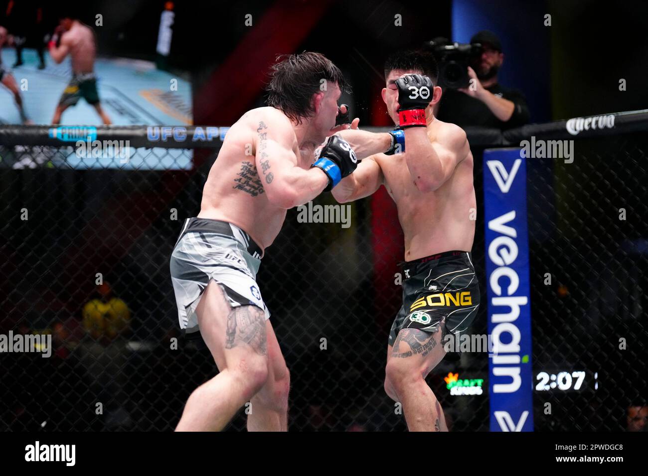 LAS VEGAS, NV - 29. April: Song Yadong und Ricky Simon kämpfen am UFC ...