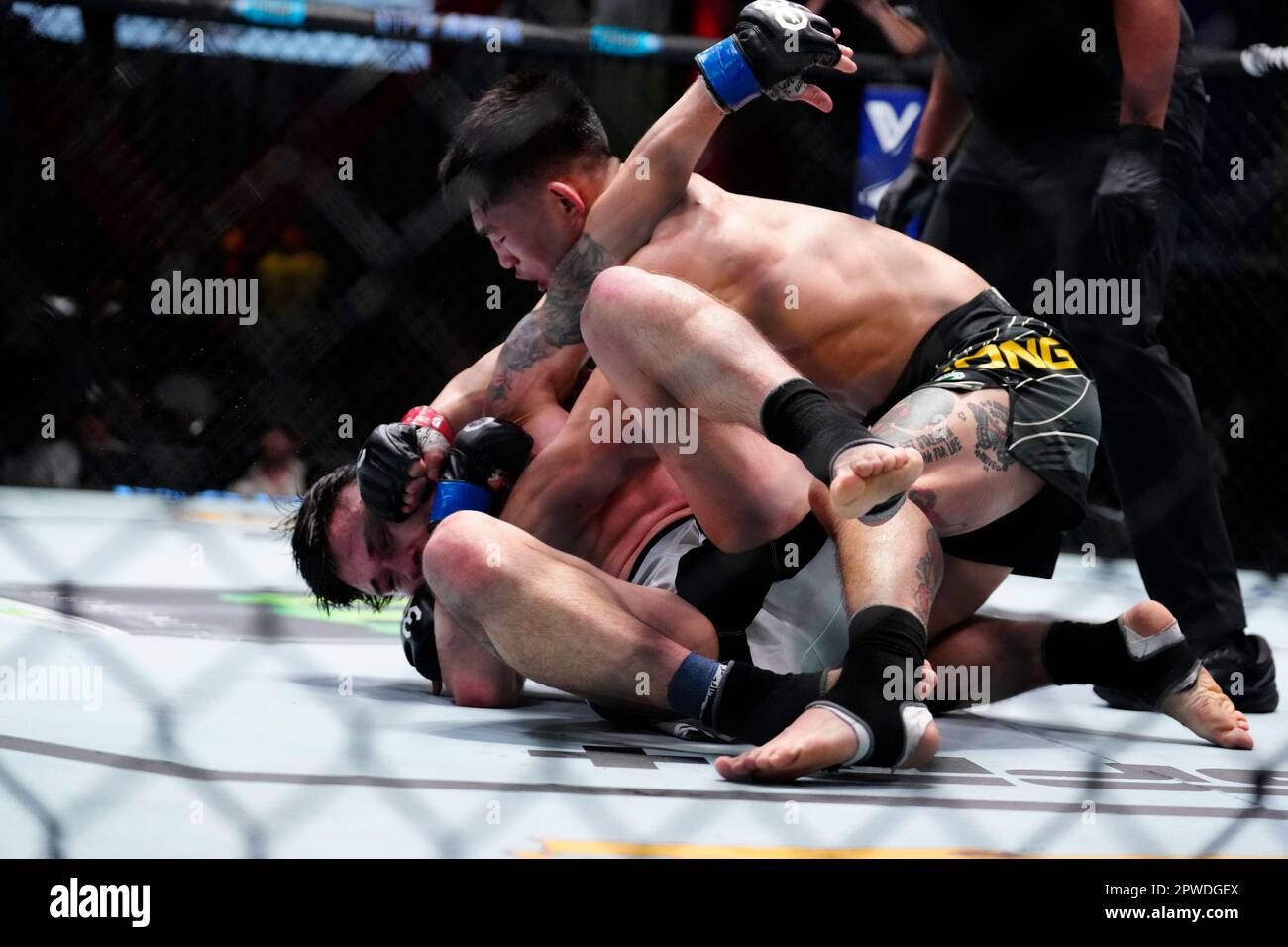 LAS VEGAS, NV - 29. April: Song Yadong und Ricky Simon kämpfen am UFC ...