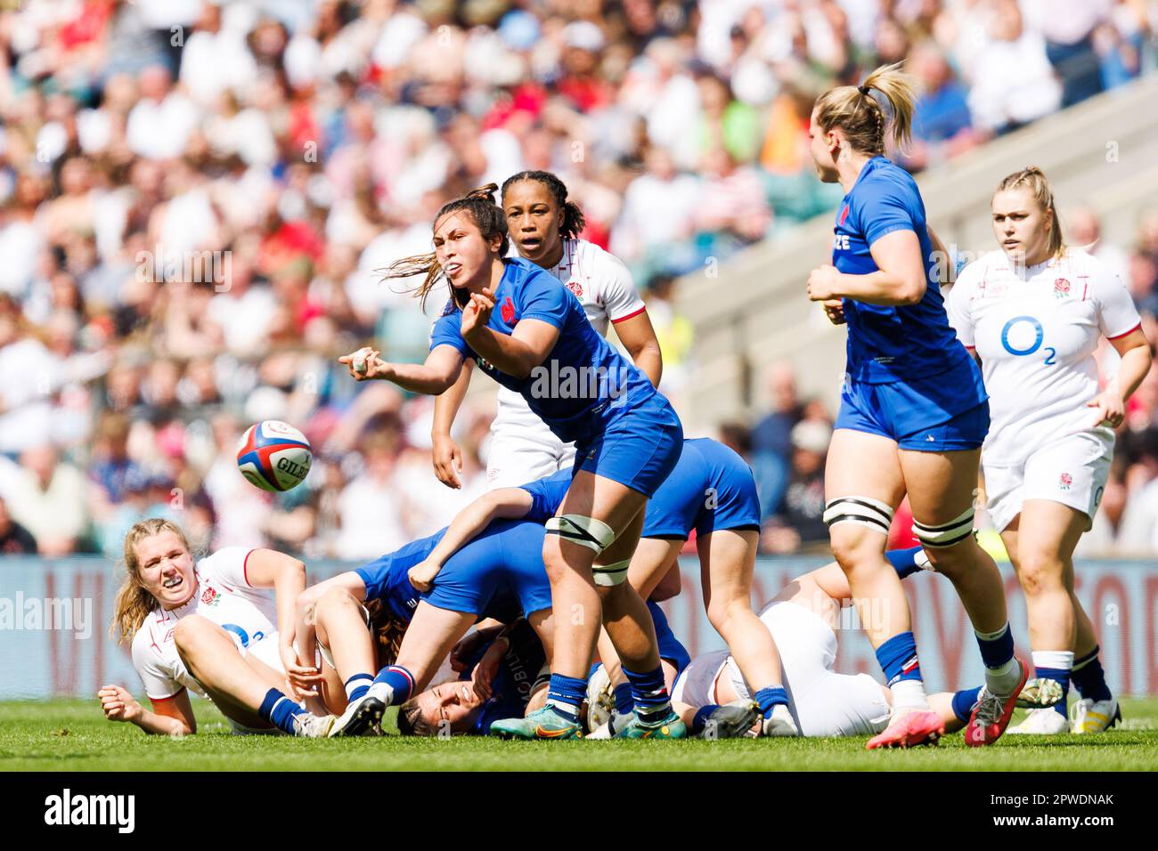 Manae feleu -Fotos und -Bildmaterial in hoher Auflösung – Alamy