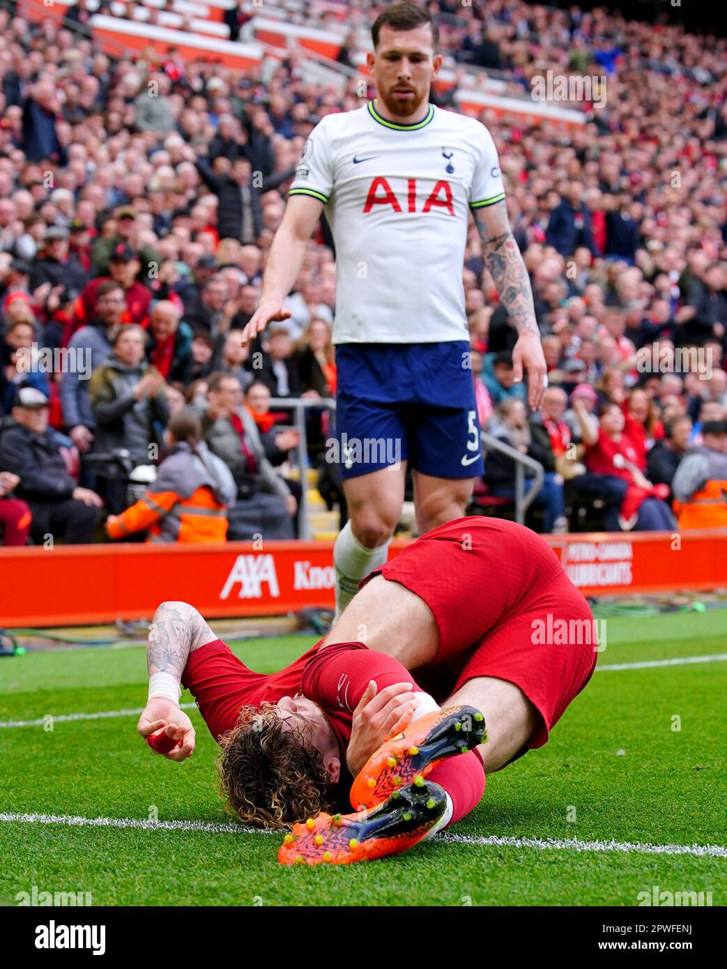 Harvey Elliott von Liverpool geht unter, nachdem er von Tottenham ...