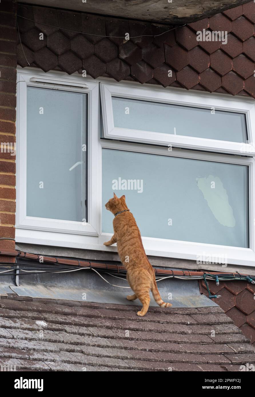 An einem fenster im erdgeschoss eines mehrfamilienhauses -Fotos und ...