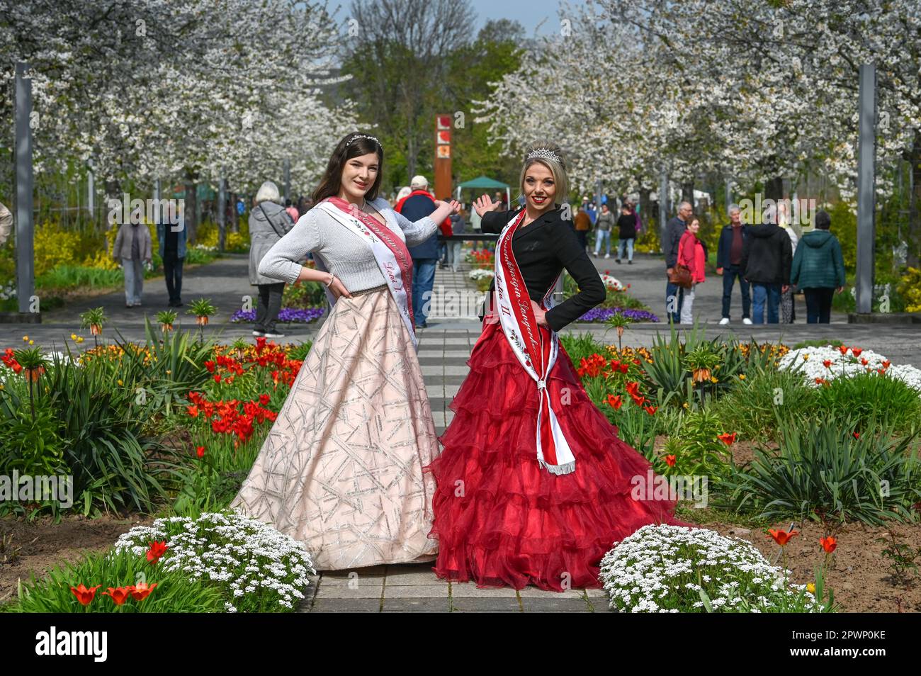 01. Mai 2023, Sachsen-Anhalt, Sangerhausen: Rose Princess Leni I. (l ...