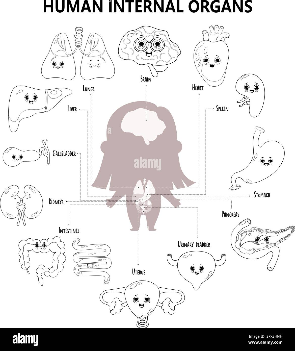 Weibliche Organe. Kinder Anatomie menschlicher Körper. Mädchen ...