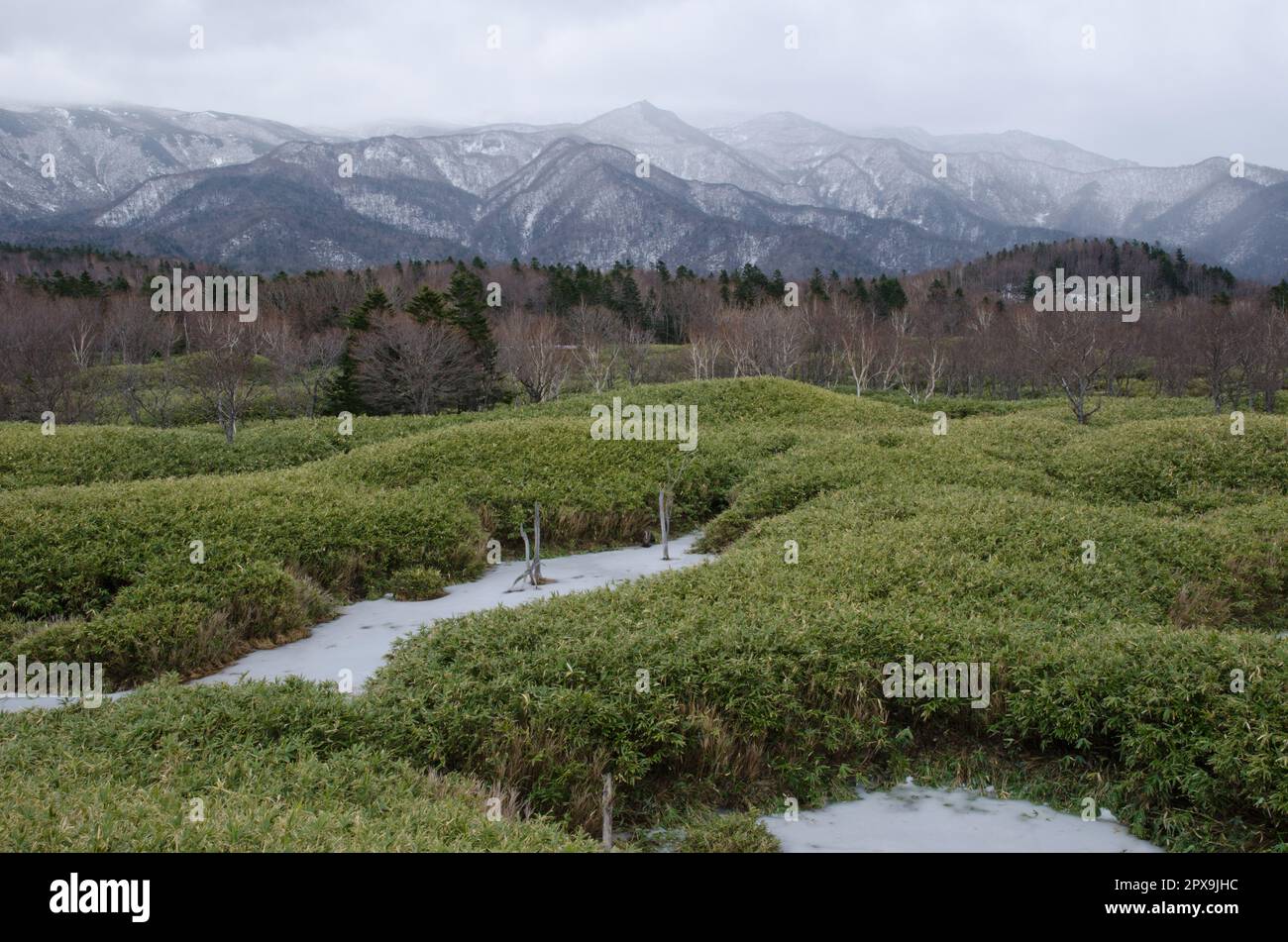 Gefrorene Teiche im Shiretoko Goko Lake und Shiretoko Mountain Range. Shiretoko-Nationalpark ...