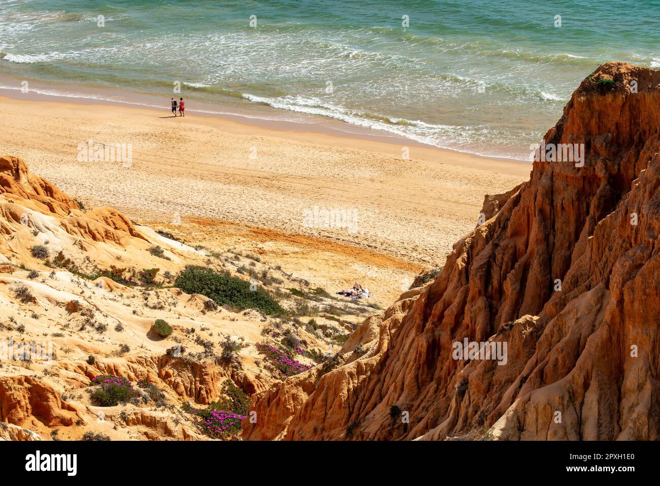 Dies ist eine Sammlung von Fotos, die am Strand gemacht wurden. Wir ...