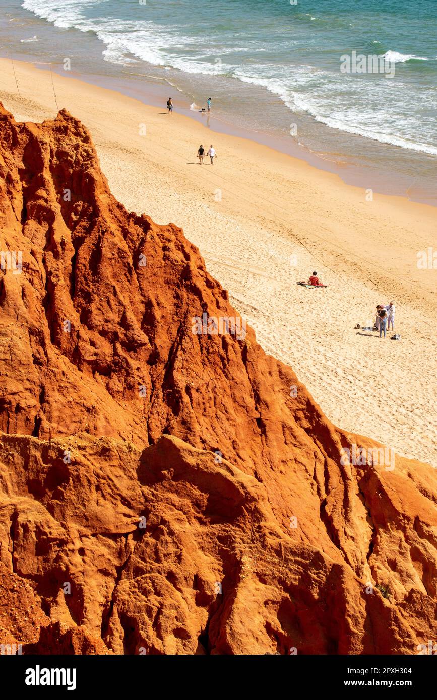 Dies ist eine Sammlung von Fotos, die am Strand gemacht wurden. Wir ...