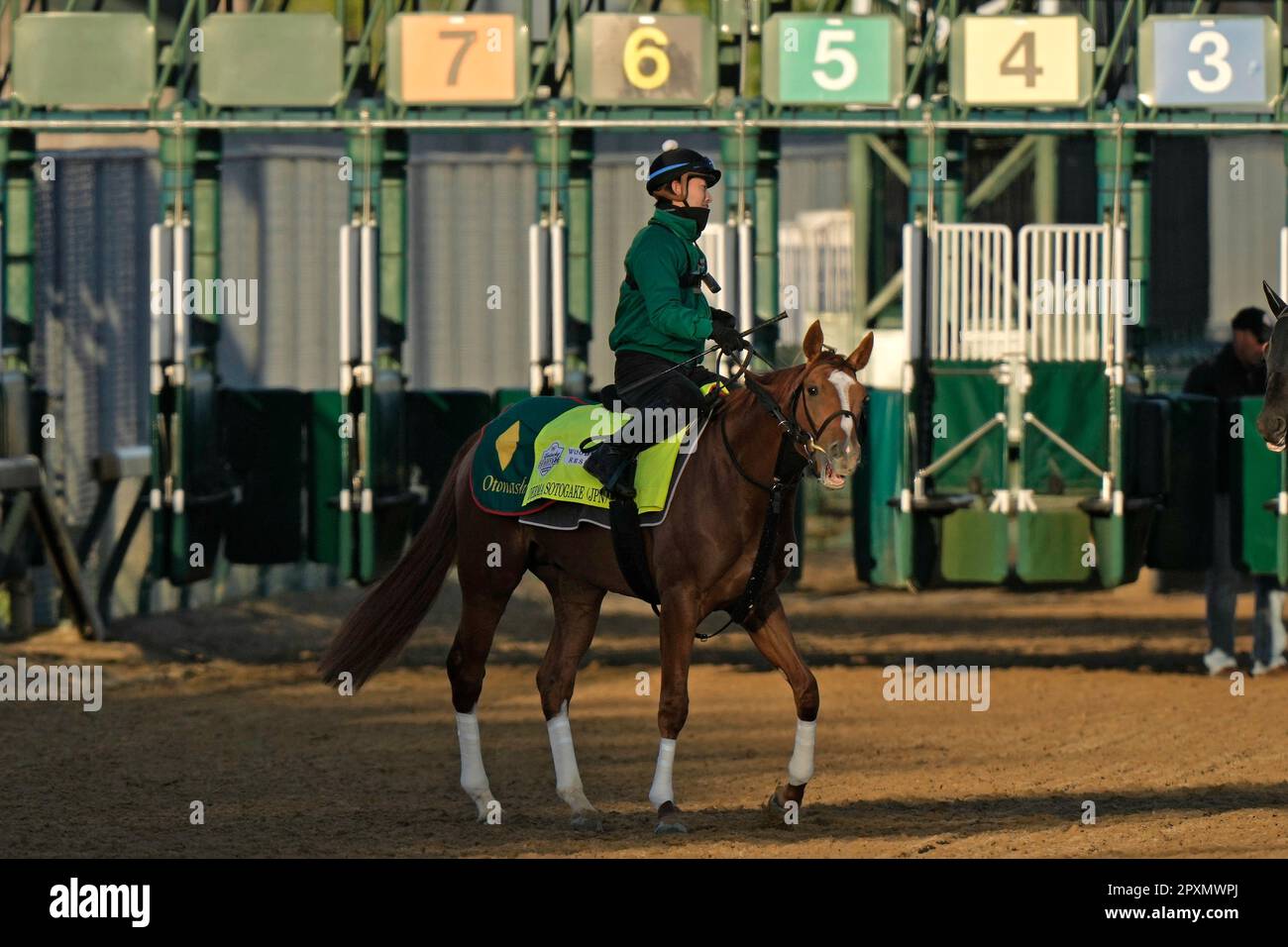 Kentucky Derby hopeful Derma Sotogake, from Japan, works out at ...