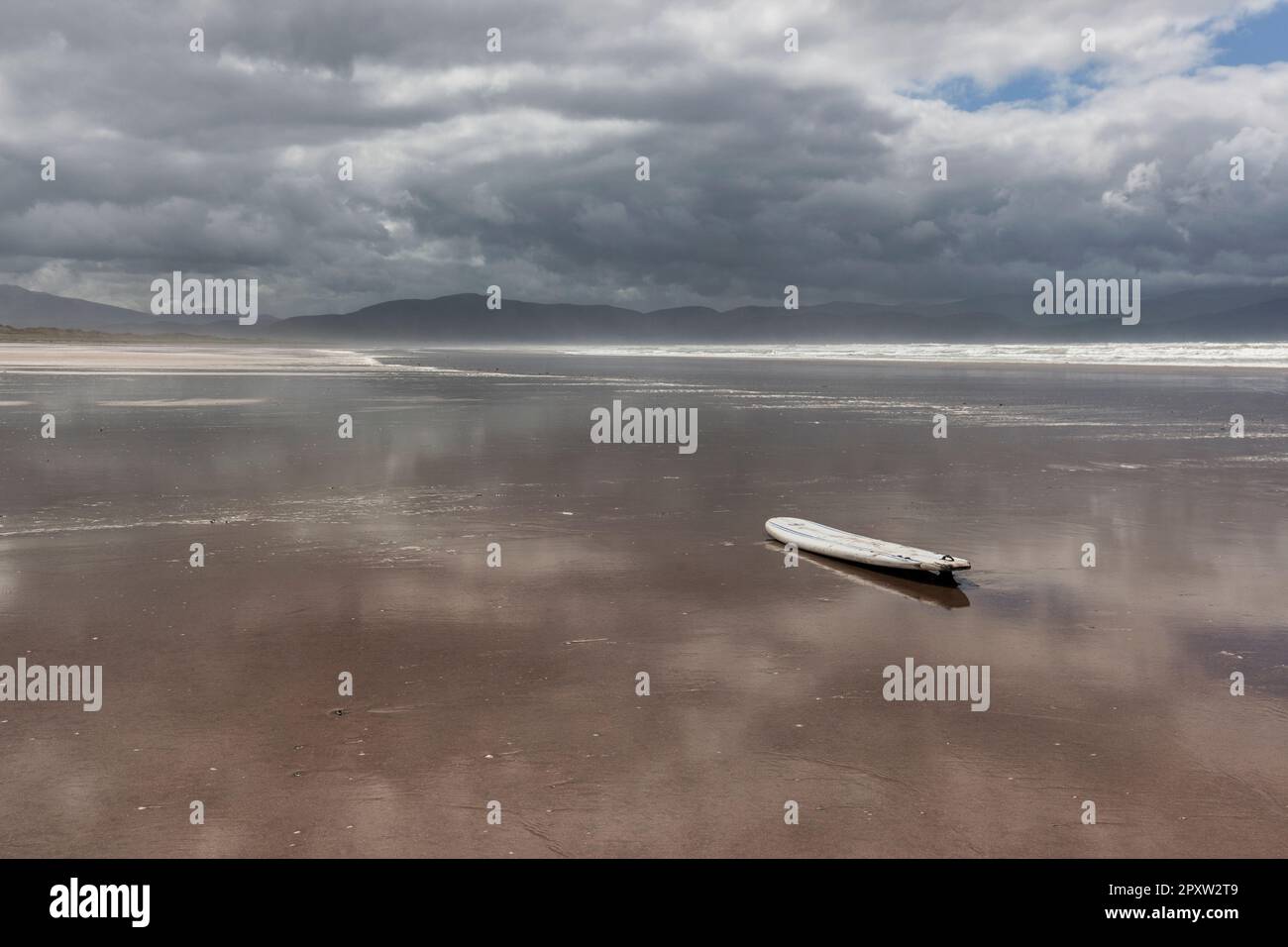 Blue Flag Inch Beach oder an Inse auf der Halbinsel Dingle bei Dingle ...