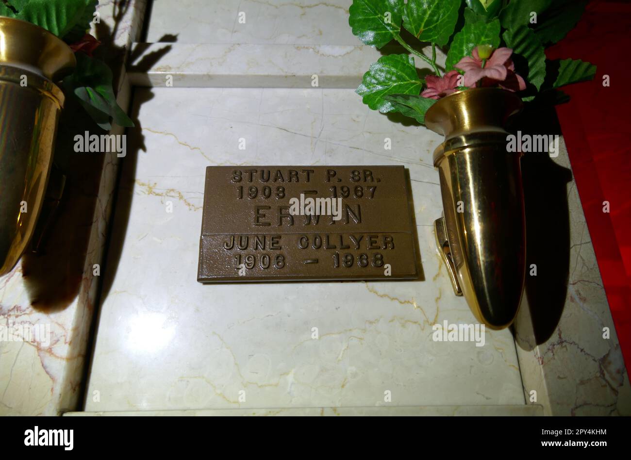 Die stu erwin show -Fotos und -Bildmaterial in hoher Auflösung – Alamy