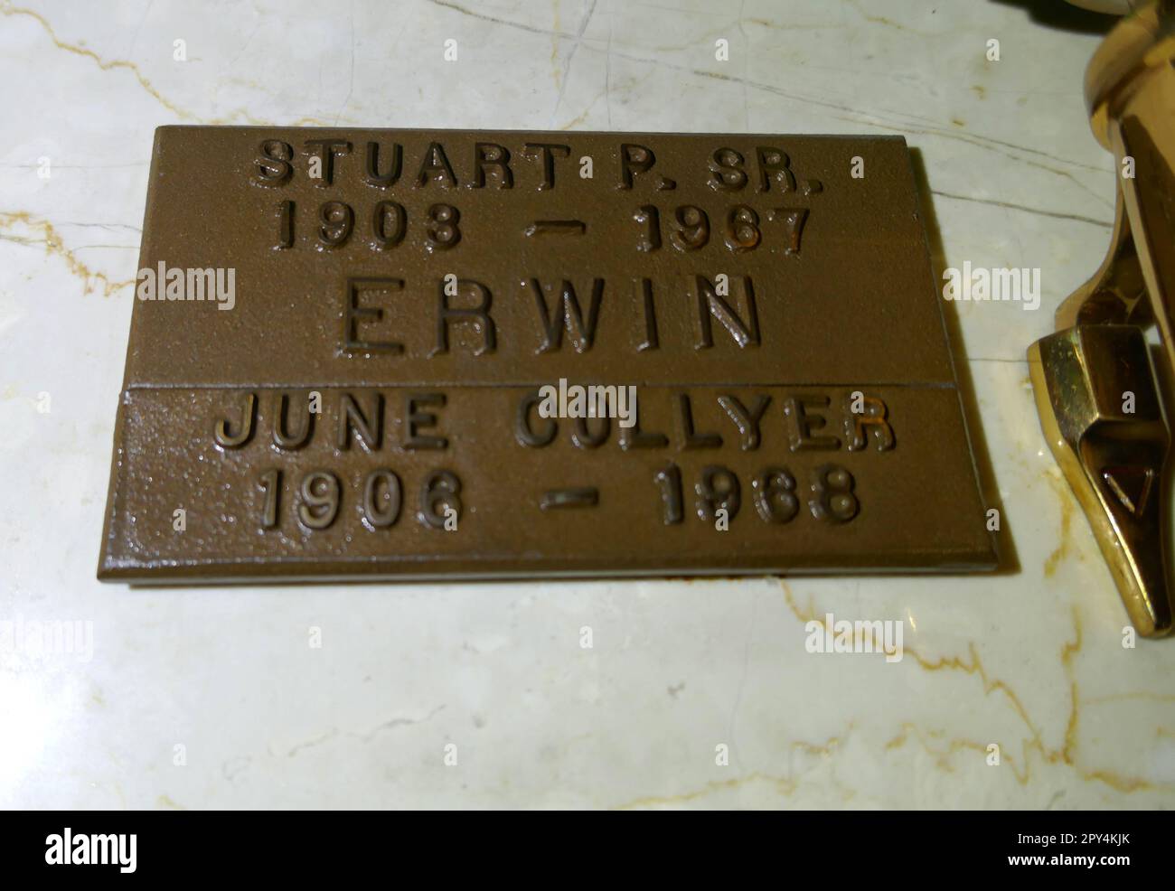 Die stu erwin show -Fotos und -Bildmaterial in hoher Auflösung – Alamy