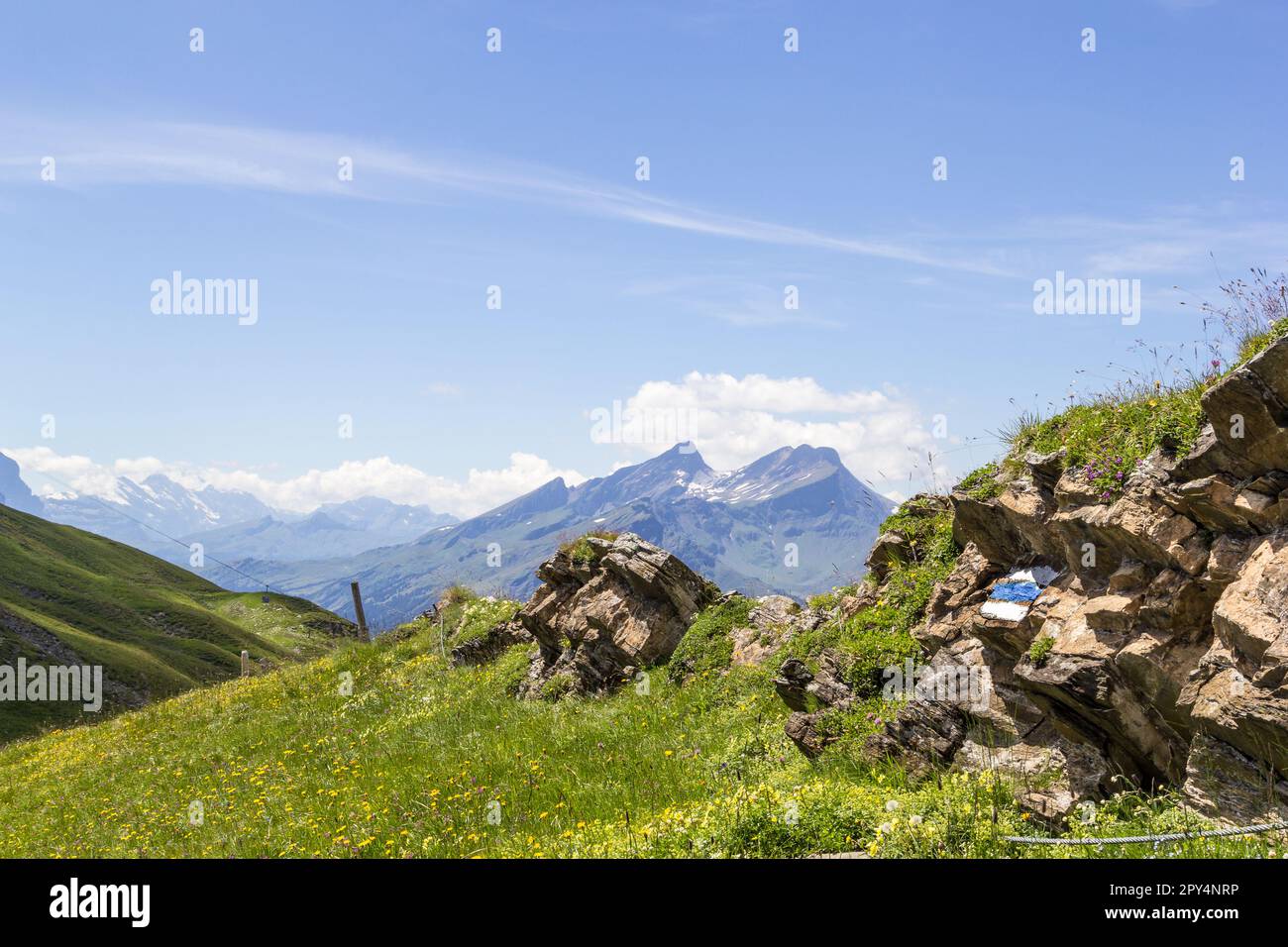 Wanderwege mit blauen und weißen Balken weisen darauf hin, dass für die ...