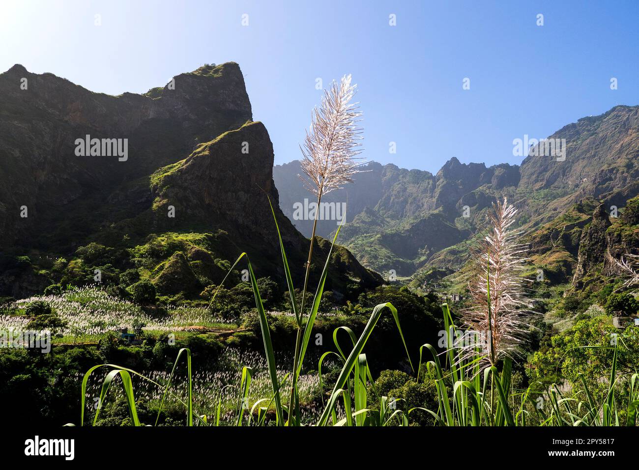 Faja do pereira -Fotos und -Bildmaterial in hoher Auflösung – Alamy