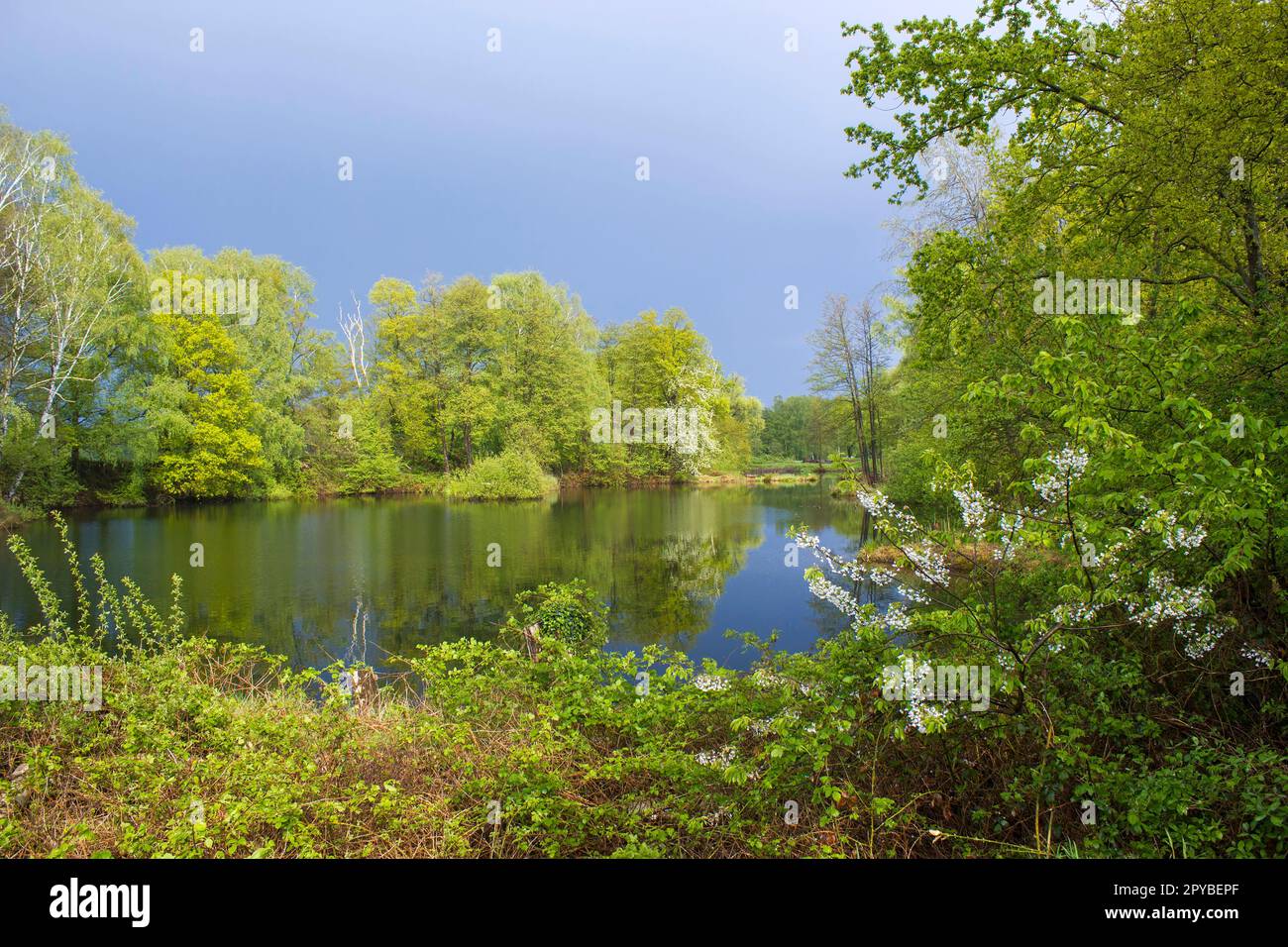 Niederrheinische landschaft -Fotos und -Bildmaterial in hoher Auflösung ...