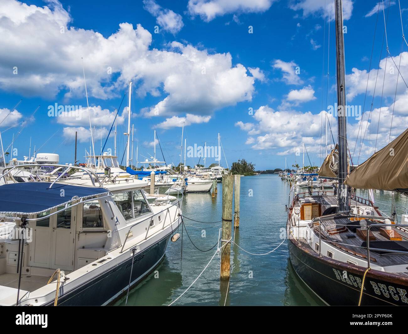 Venice marina -Fotos und -Bildmaterial in hoher Auflösung – Alamy