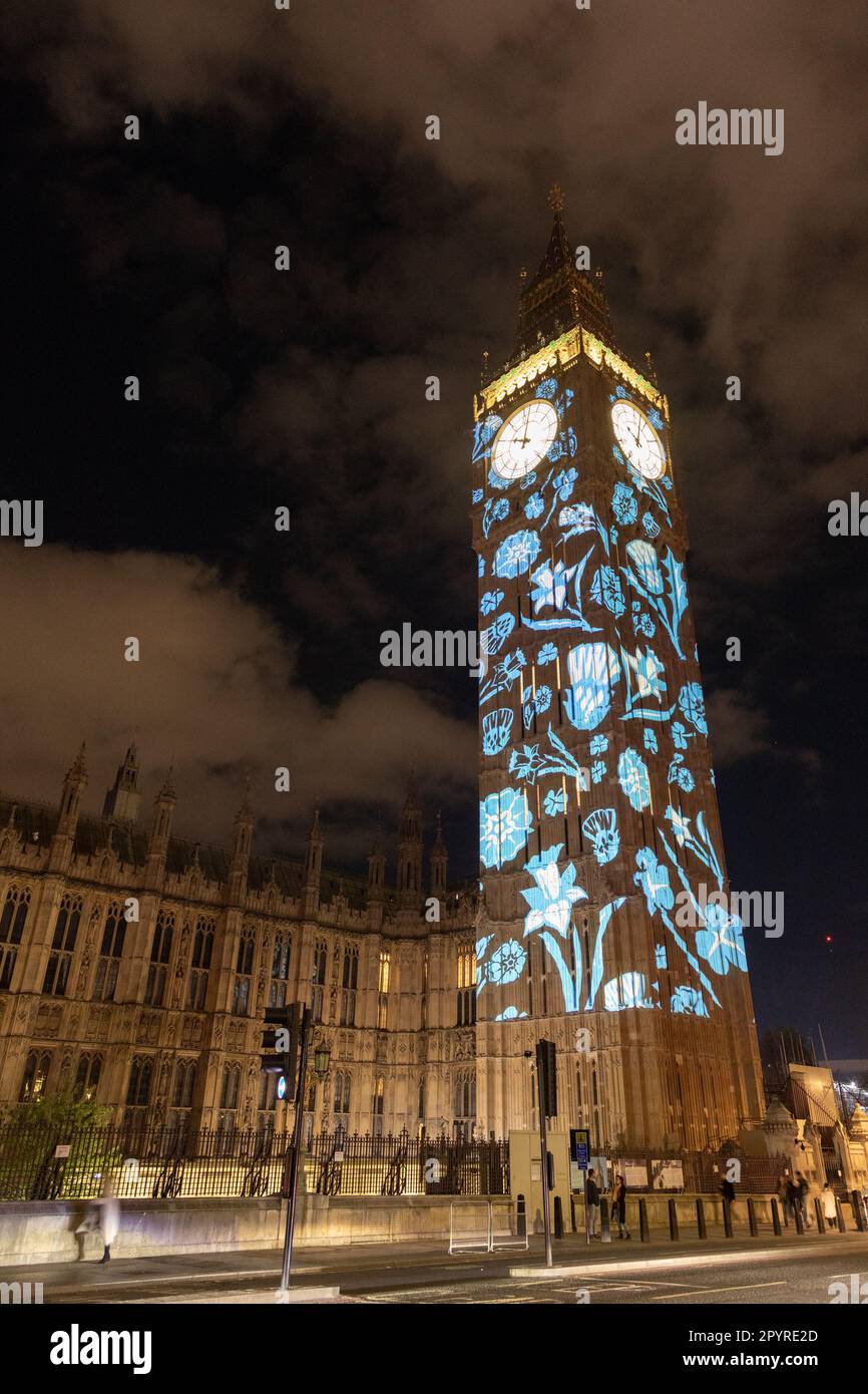 Ben könig -Fotos und -Bildmaterial in hoher Auflösung – Alamy