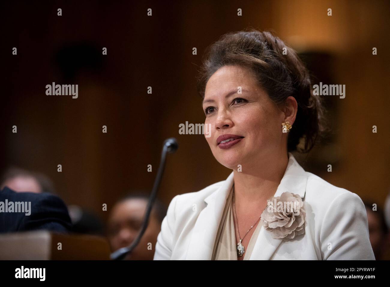 Washington, Usa. 04. Mai 2023. Stephanie Syptak-Ramnath tritt vor einer ...