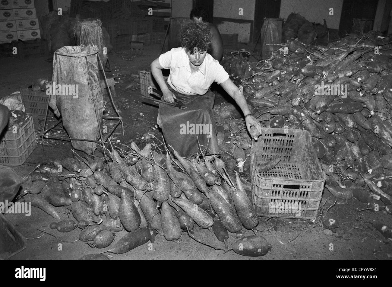 Costa Rica, San José, 1991-08-15. Archivieren. 29-04-26 San José Foto ...