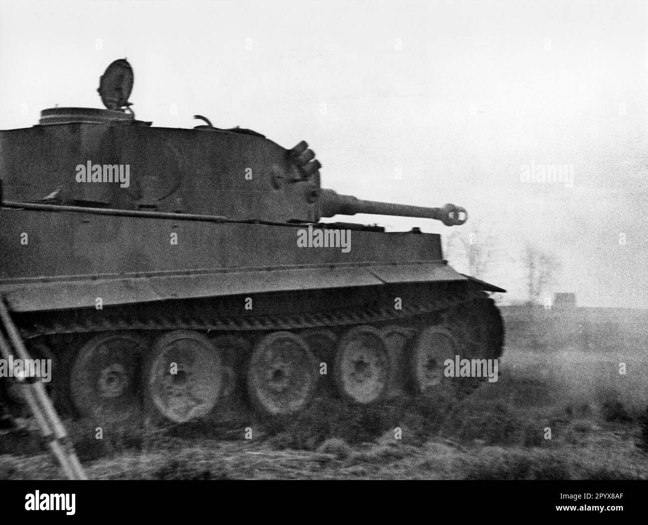Königstiger panzer -Fotos und -Bildmaterial in hoher Auflösung – Alamy