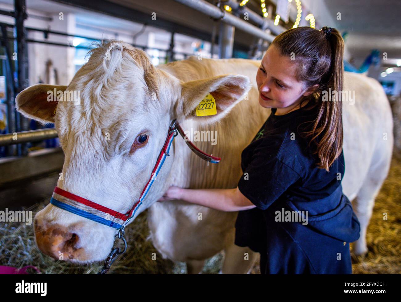 05. Mai 2023, Mecklenburg-Vorpommern, Karow: Der Jungzüchter Kim Witych ...