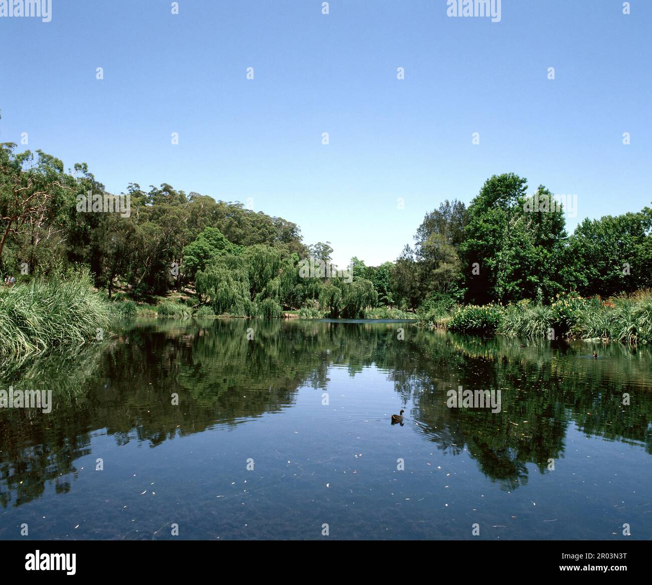 Lane river -Fotos und -Bildmaterial in hoher Auflösung – Alamy