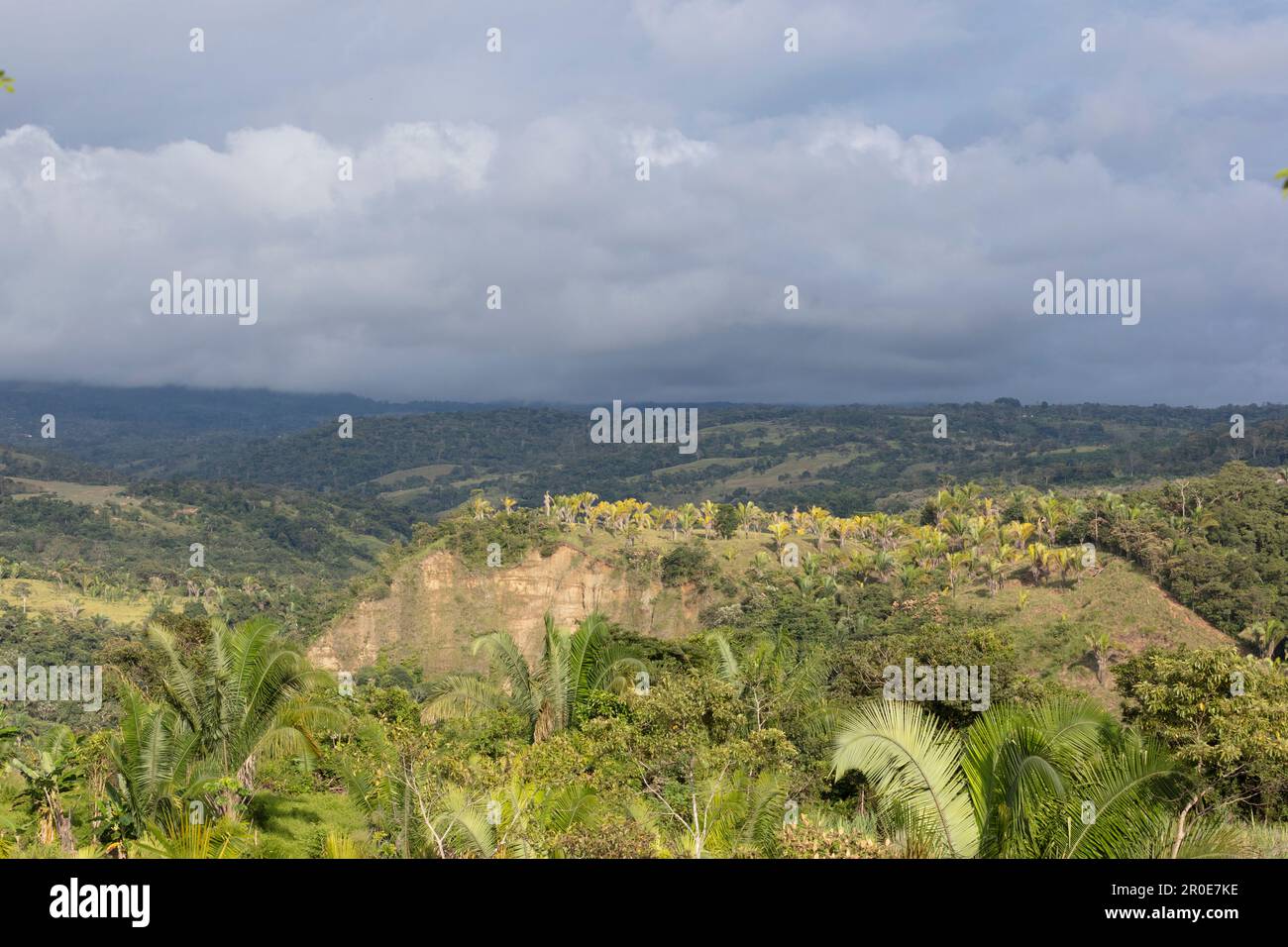 Coto brus -Fotos und -Bildmaterial in hoher Auflösung – Alamy