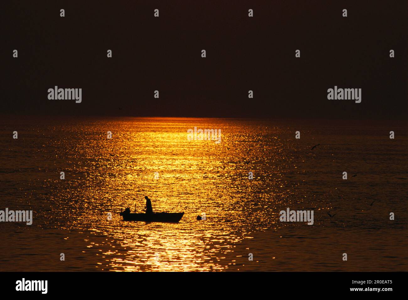 Bodensee fischer -Fotos und -Bildmaterial in hoher Auflösung – Alamy