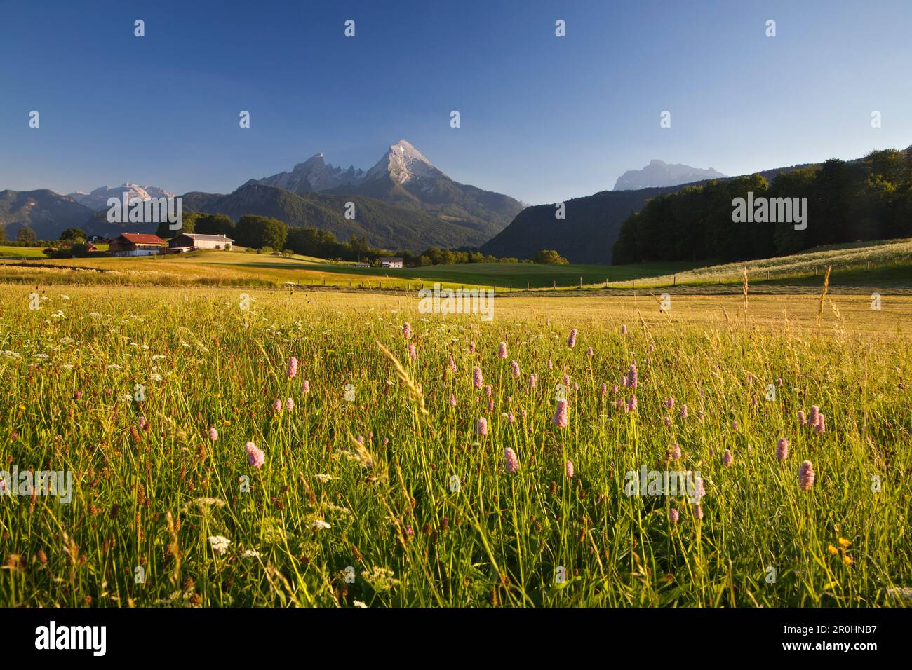 Bauernhaus vor watzmann -Fotos und -Bildmaterial in hoher Auflösung – Alamy