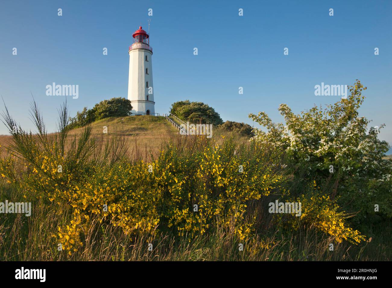 Sie fahren vor dem Leuchtturm am Dornbusch, der Insel Hiddensee, dem ...