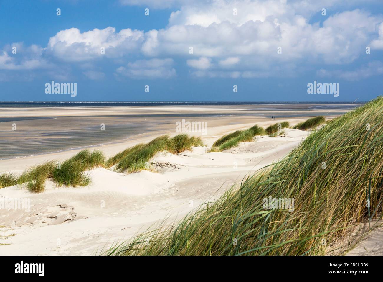 Dünen am Strand, Langeoog Island, Nordsee, Ostfriesische Inseln ...