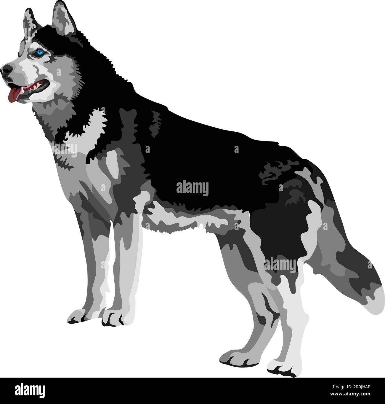 Canis familaris Stock-Vektorgrafiken kaufen - Alamy