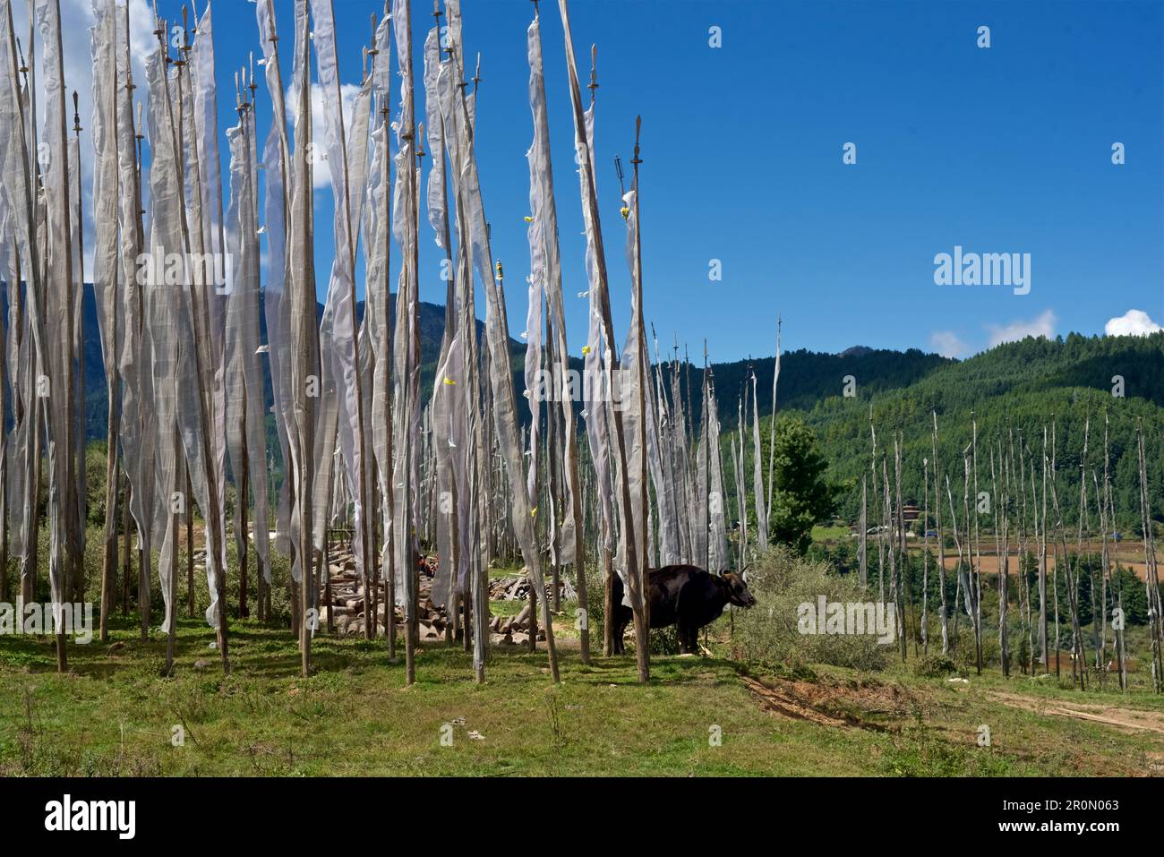 Simbolo dello yak -Fotos und -Bildmaterial in hoher Auflösung – Alamy