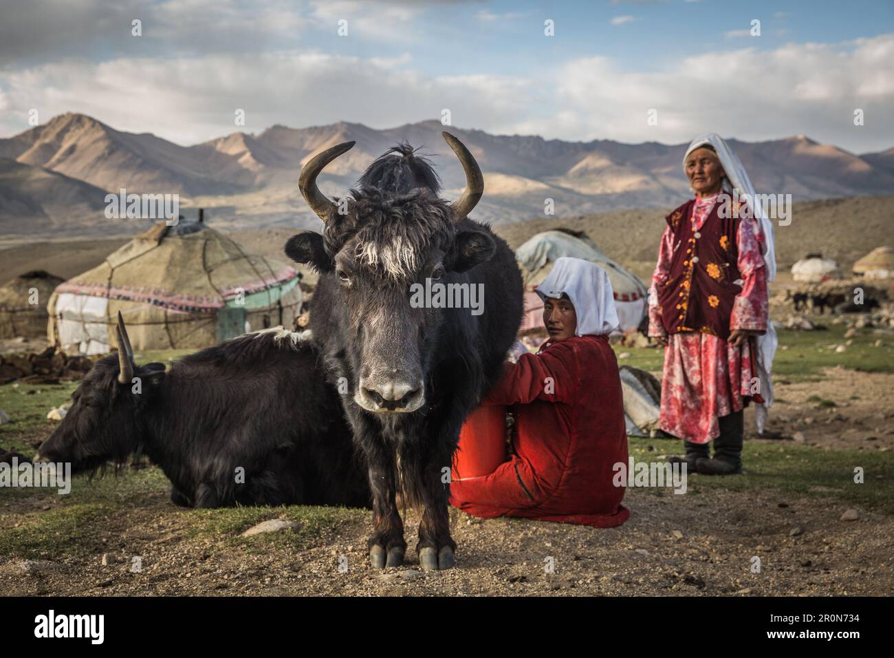 Bäuerin beim melken -Fotos und -Bildmaterial in hoher Auflösung – Alamy