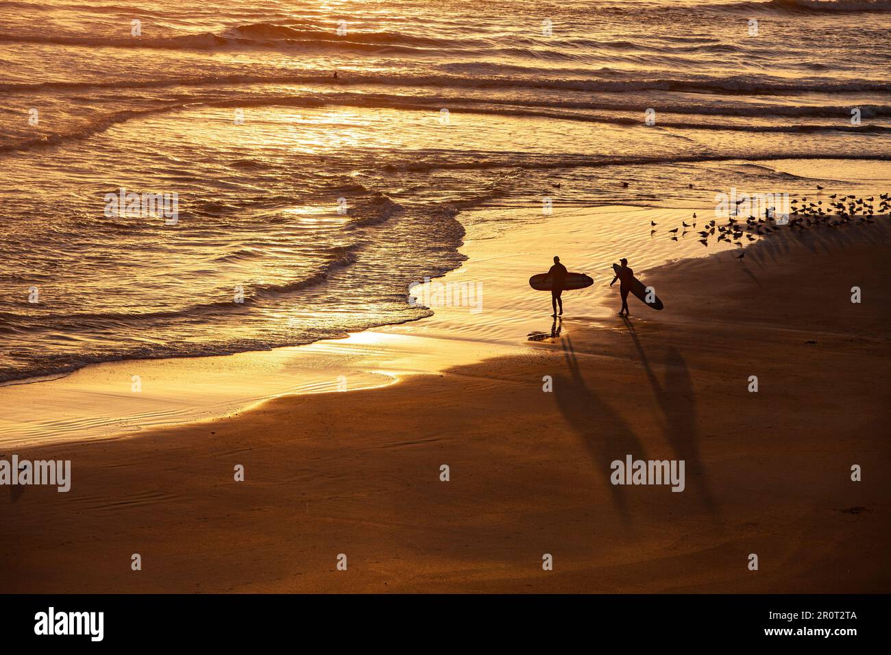 Jorge parra fotografie -Fotos und -Bildmaterial in hoher Auflösung – Alamy