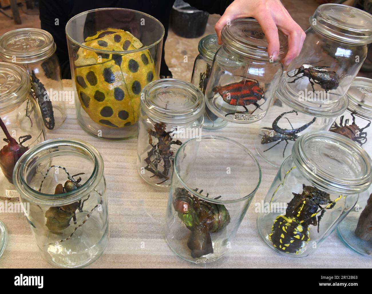 PRODUKTION - 05. Mai 2023, Sachsen, Leipzig: Stahlkünstlerin Dana Meyer ...