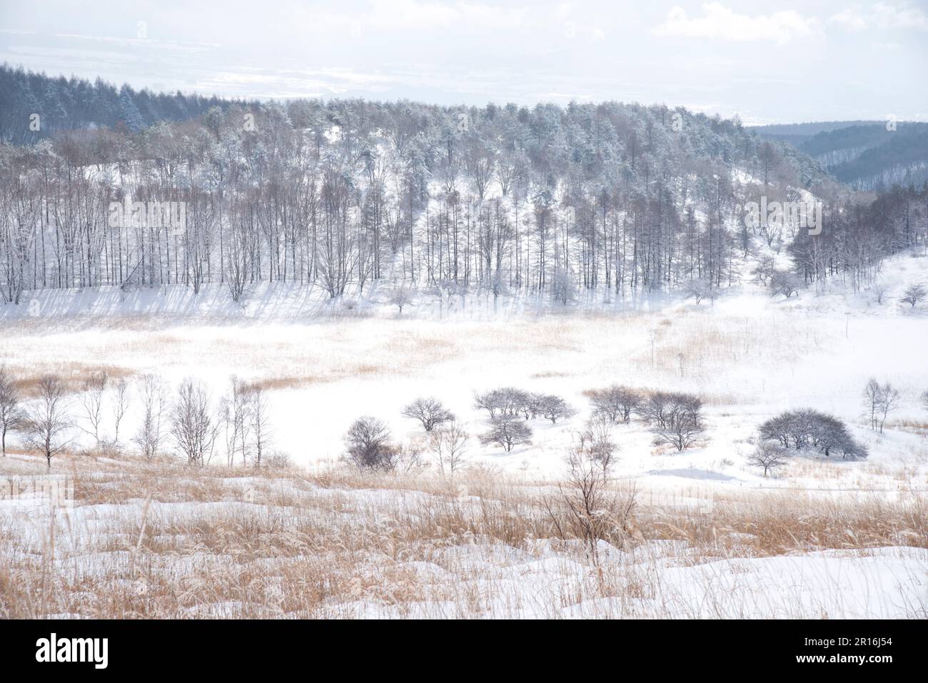 Nationalpark shitsugen -Fotos und -Bildmaterial in hoher Auflösung – Alamy