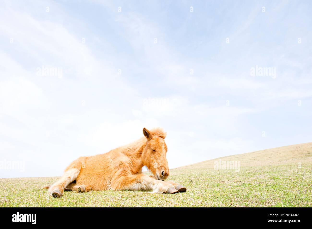 Kushima dorf -Fotos und -Bildmaterial in hoher Auflösung – Alamy