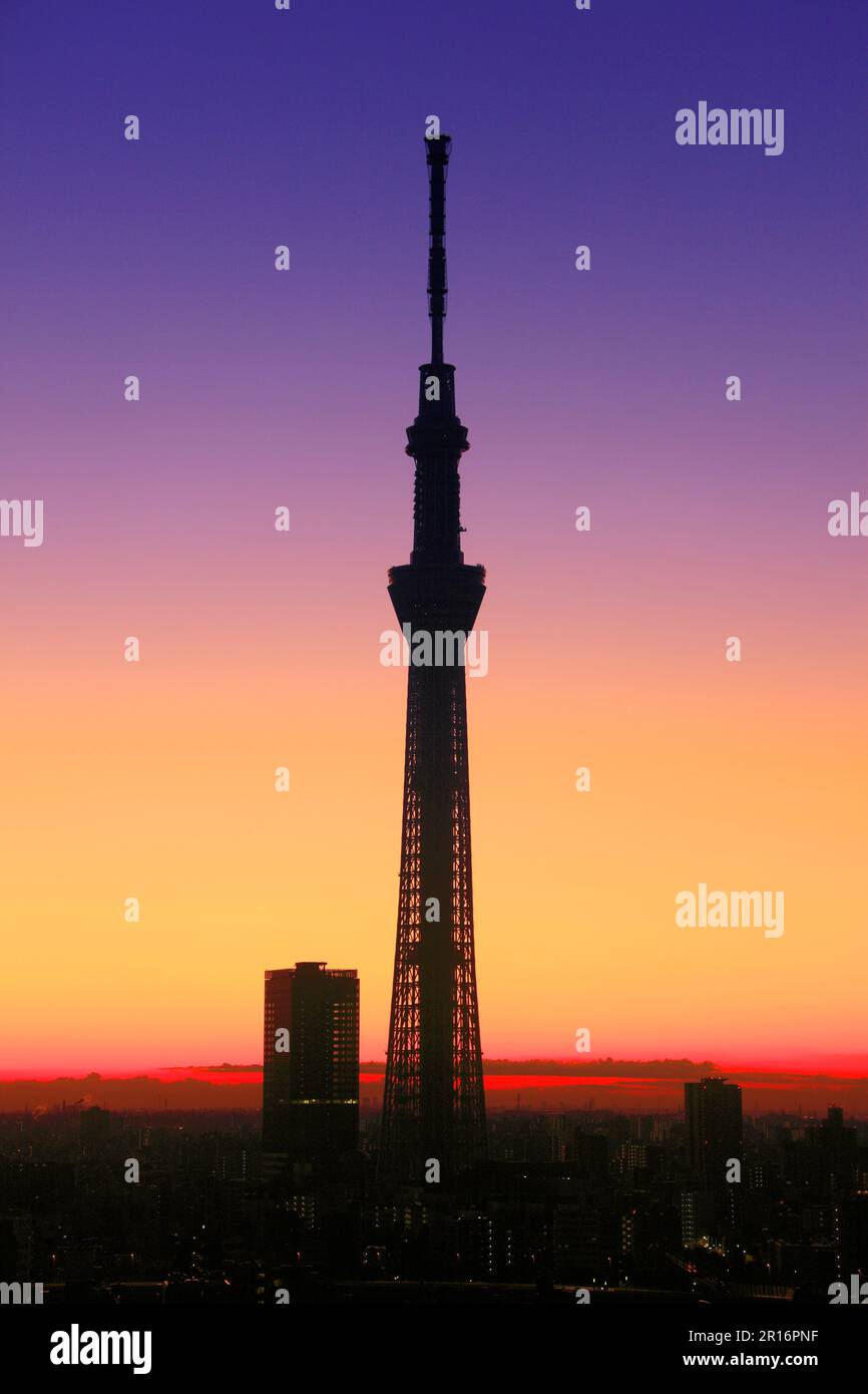 Silueta de tokio -Fotos und -Bildmaterial in hoher Auflösung – Alamy