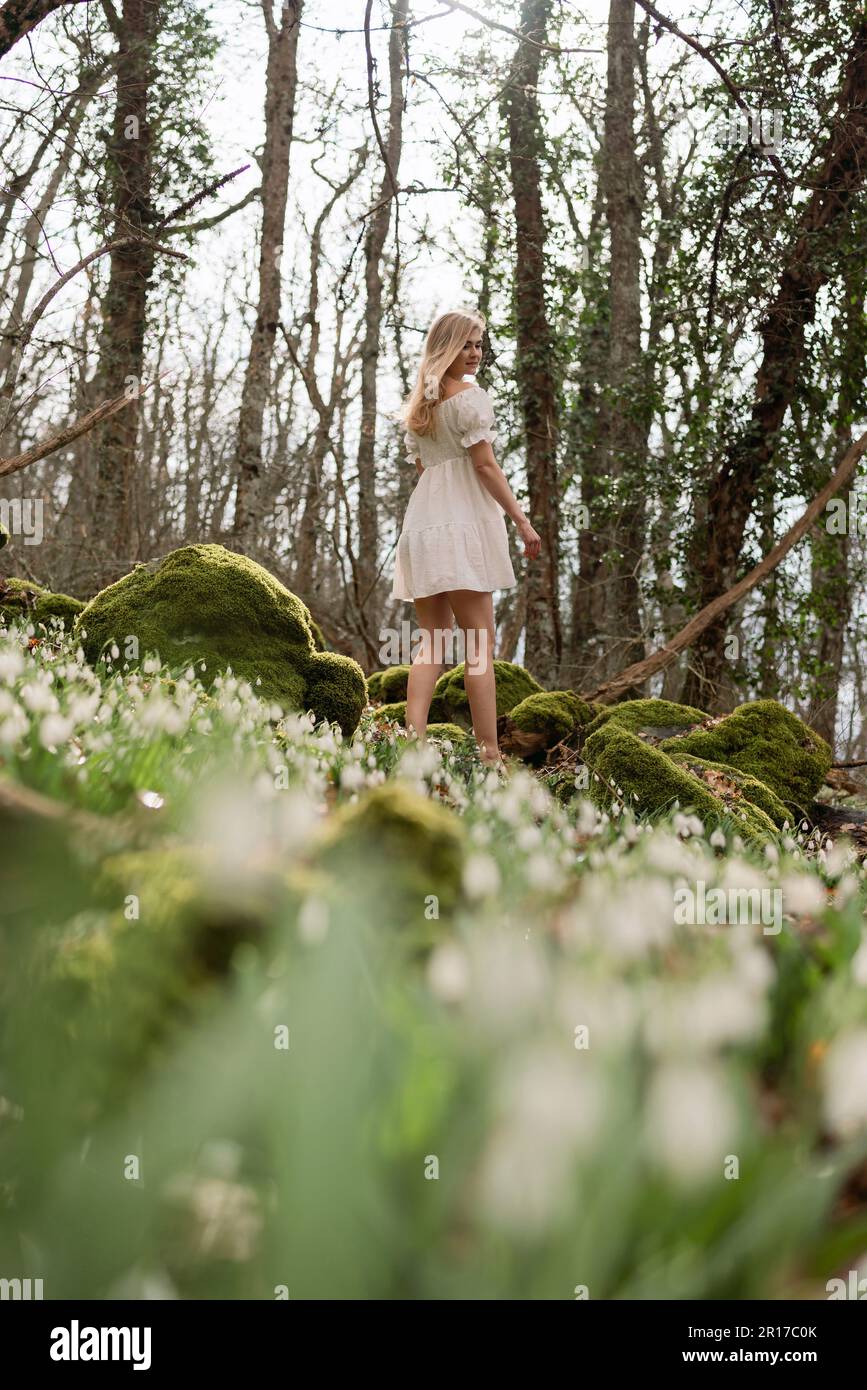Schneeglöckchen galanthus blond. Ein Mädchen in einem weißen Kleid ... Schneeglöckchen galanthus blond. Ein Mädchen in einem weißen Kleid ...