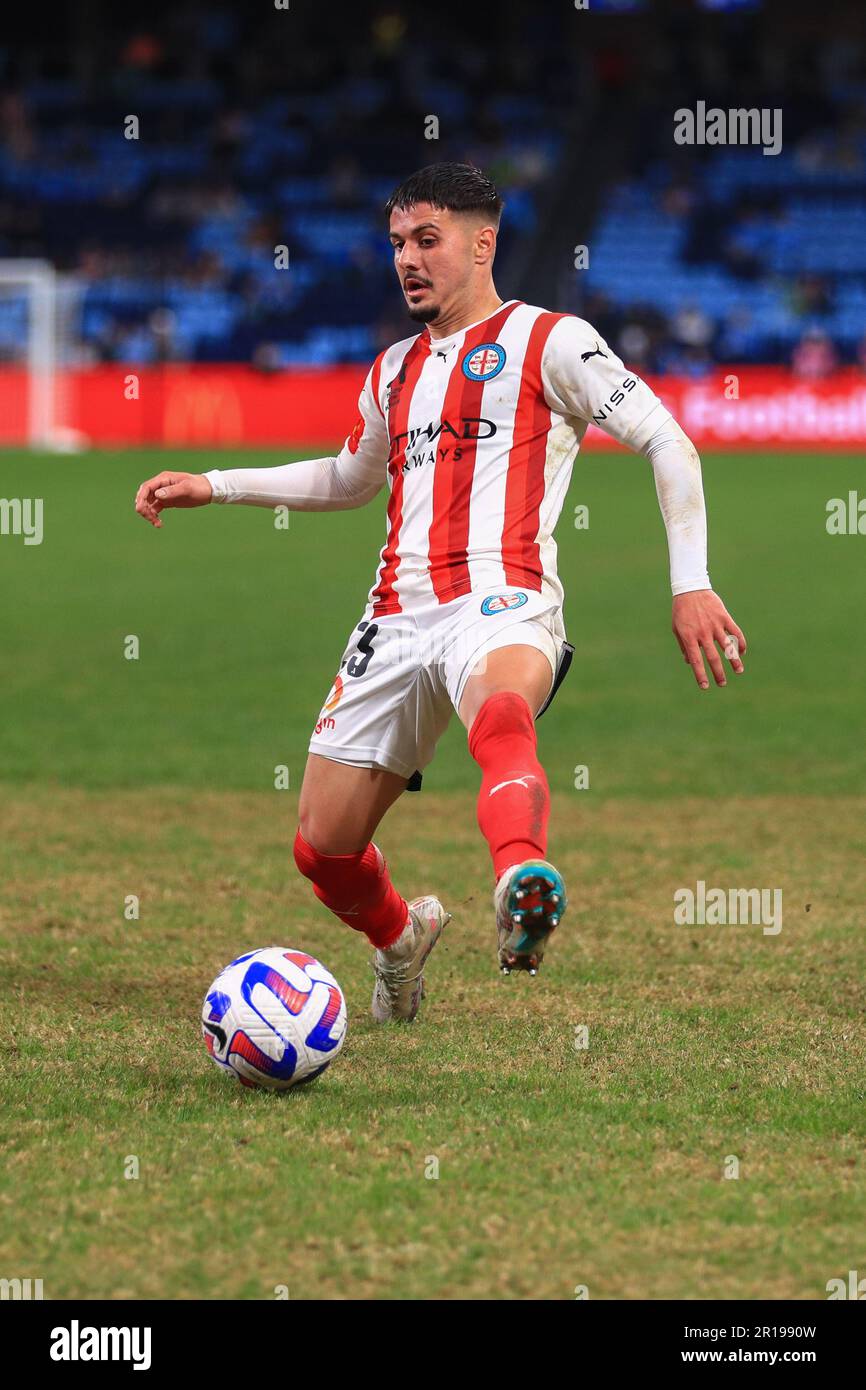Tilio -Fotos und -Bildmaterial in hoher Auflösung – Alamy