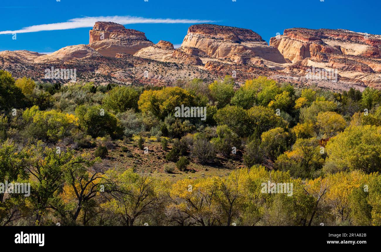 Goldener thron links -Fotos und -Bildmaterial in hoher Auflösung – Alamy