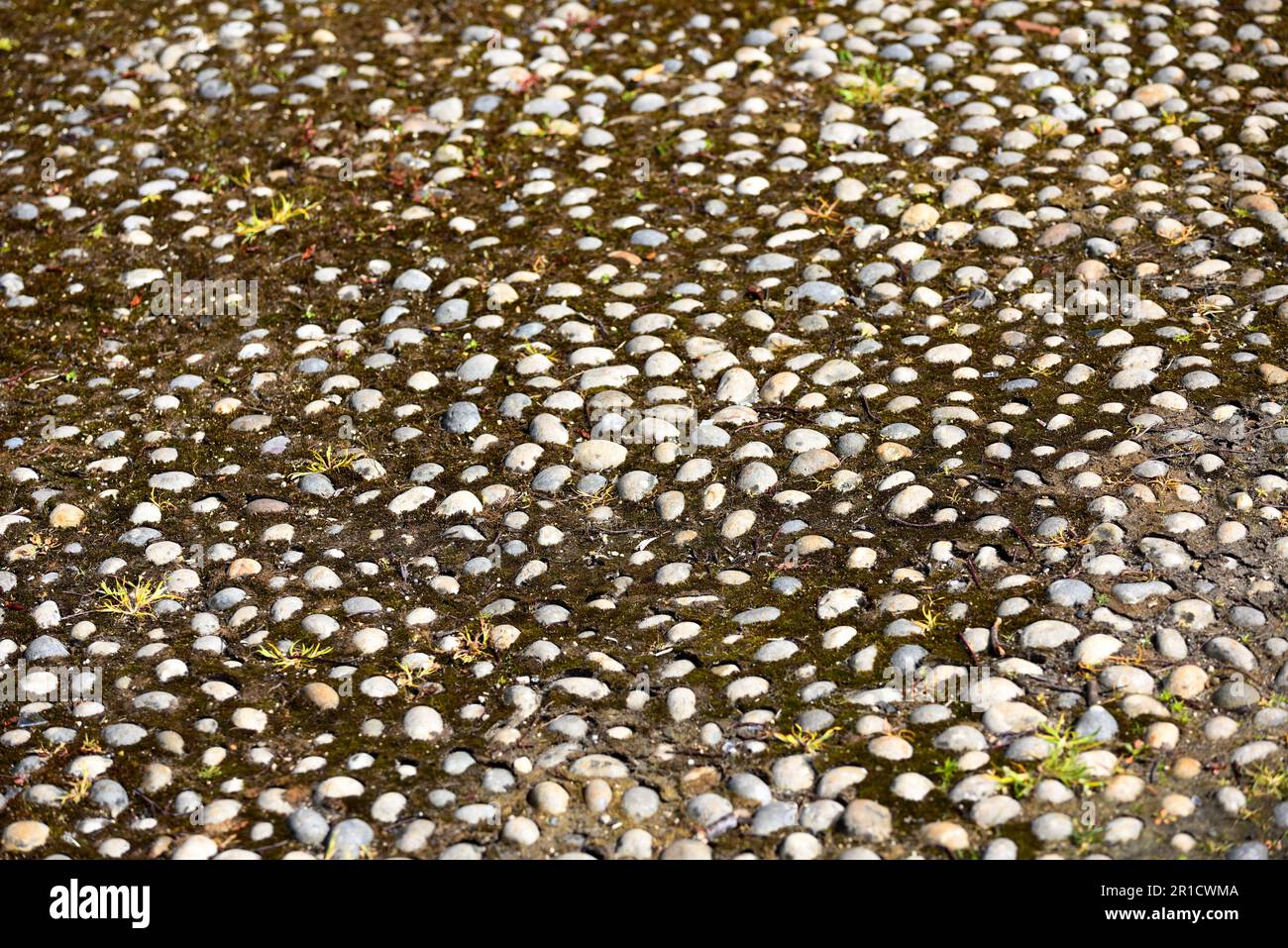 Zementierter kieselstein -Fotos und -Bildmaterial in hoher Auflösung ...