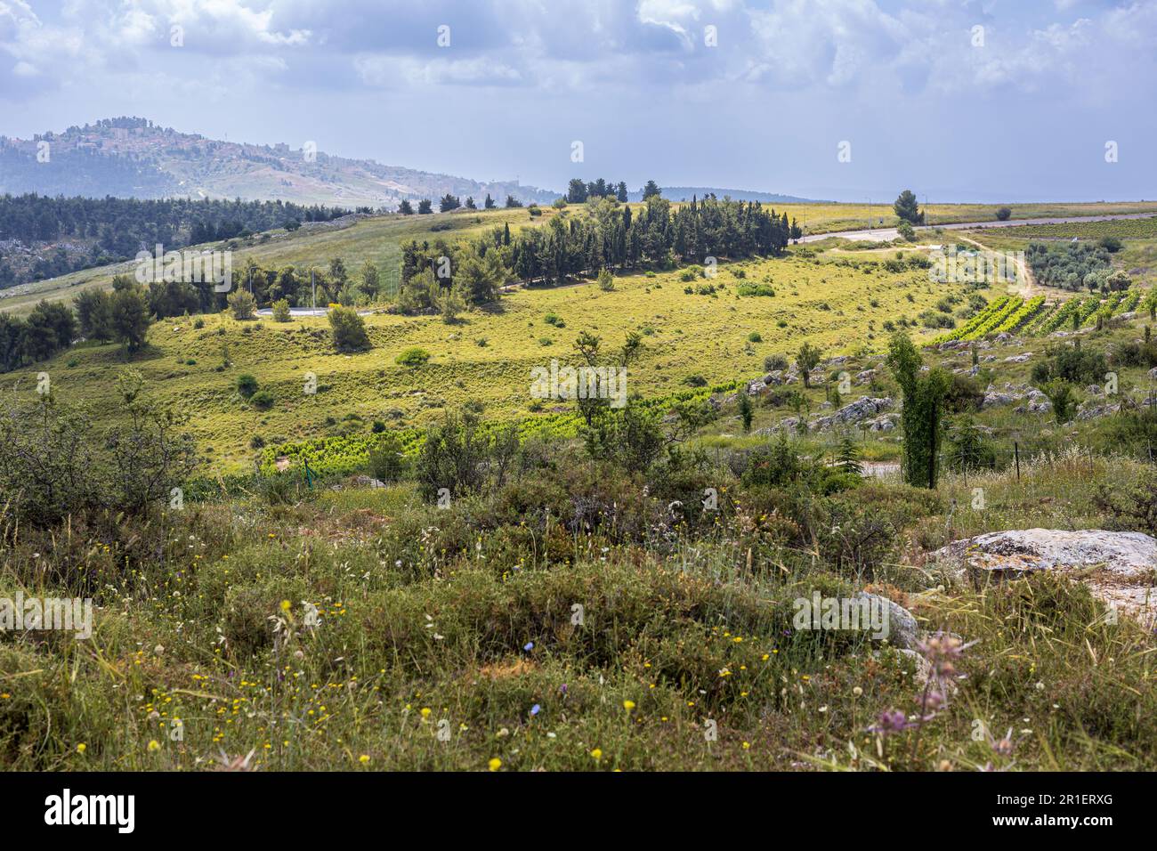 Der Berg Meron ist ein Berg in der oberen Galiläa-Region Israels. Es ...