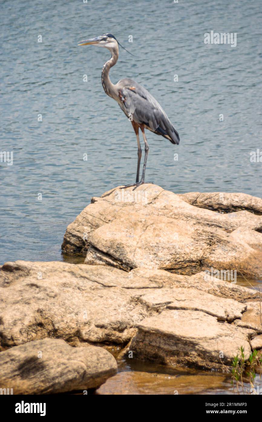 Tva douglas lake smoky mountains angebote -Fotos und -Bildmaterial in ...