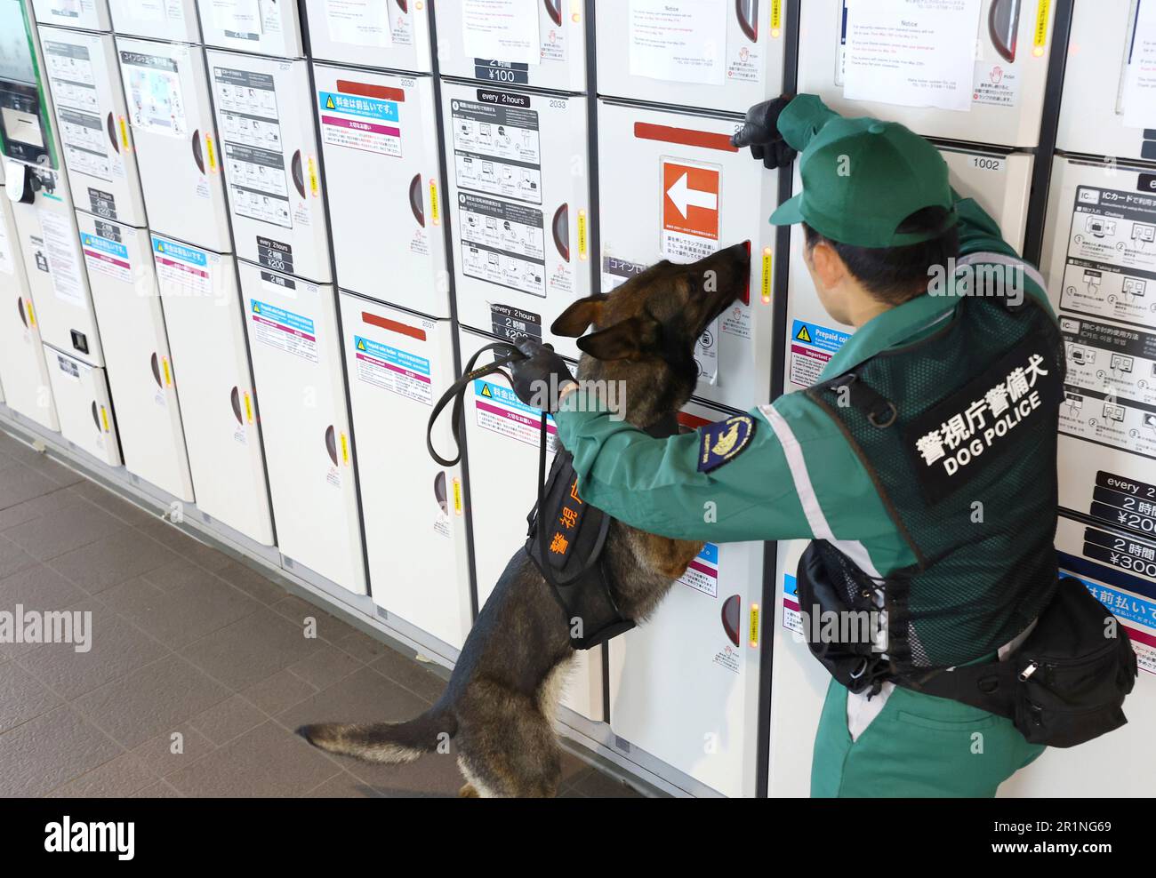 Police officers with sniffer dogs patrol around Basuta, New Shinjuku ...