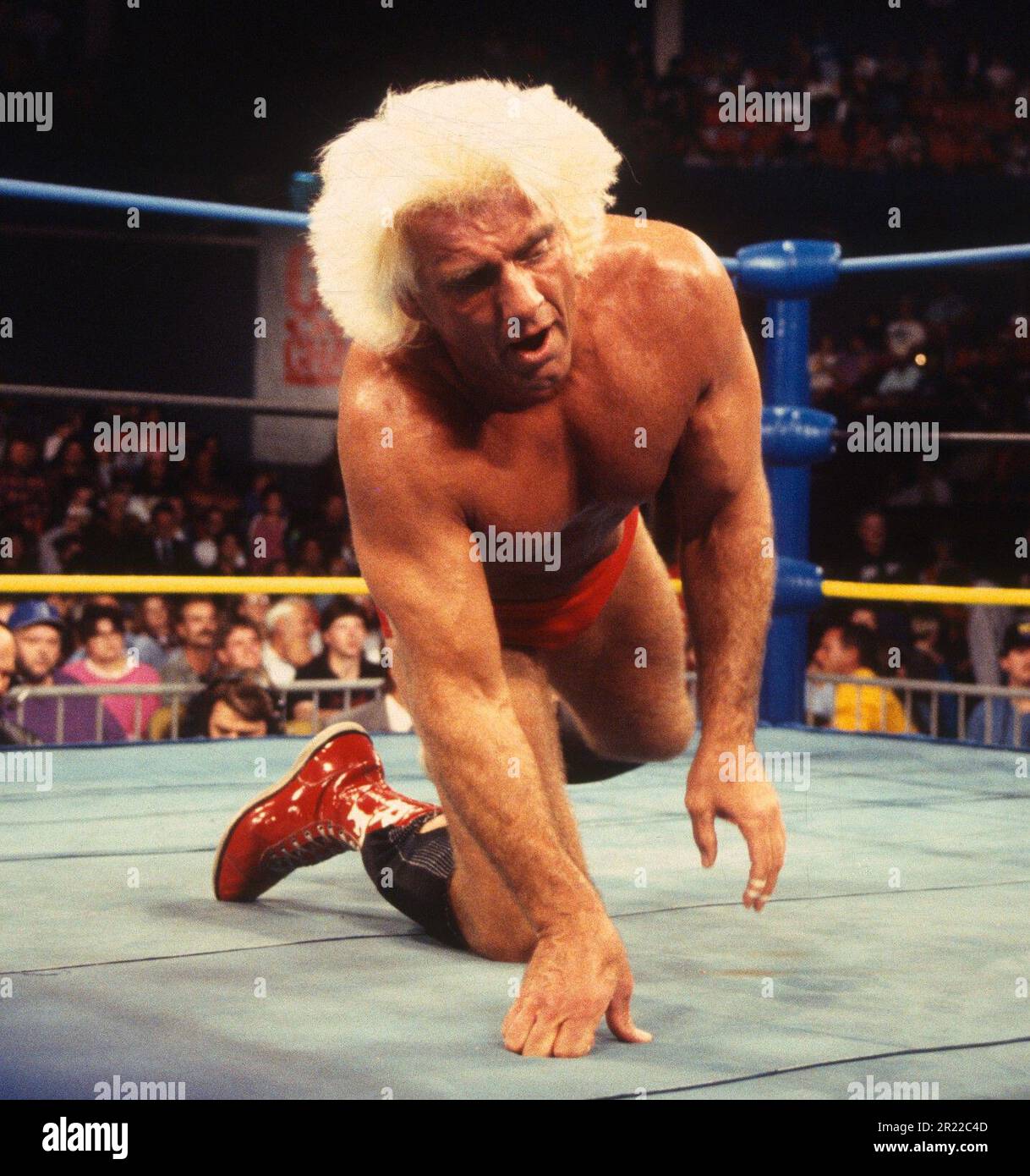 Ric flair -Fotos und -Bildmaterial in hoher Auflösung – Alamy