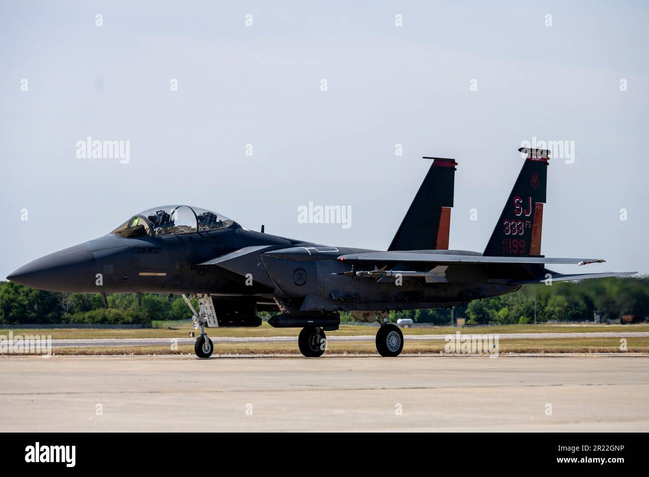 Die F-15E Strike Eagle-Flaggschiff-Taxis der 333. Fighter Squadron ...