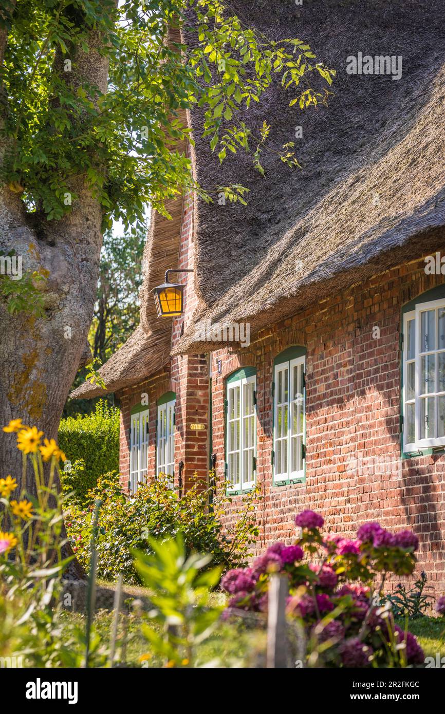 Historischer hof mit bauerngarten in keitum -Fotos und -Bildmaterial in hoher Auflösung – Alamy