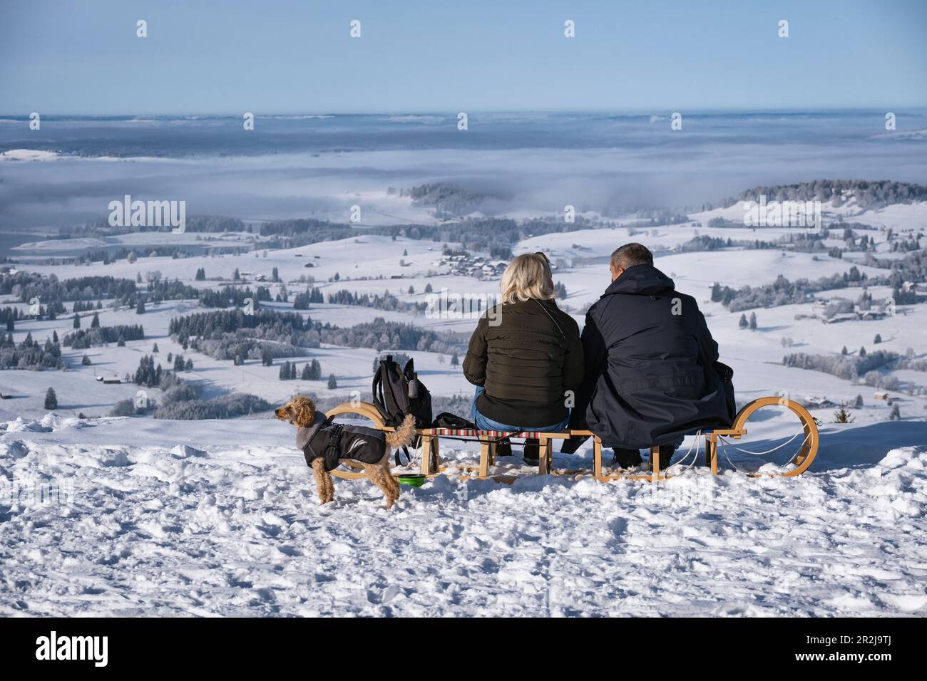 Deutschland alpen berge landschaft hund -Fotos und -Bildmaterial in ...